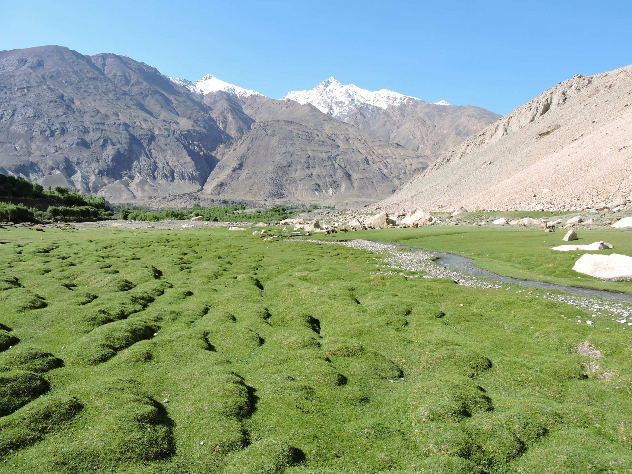 Noshaq: ski expedition to Afghanistan’s highest mountain | the blackmail